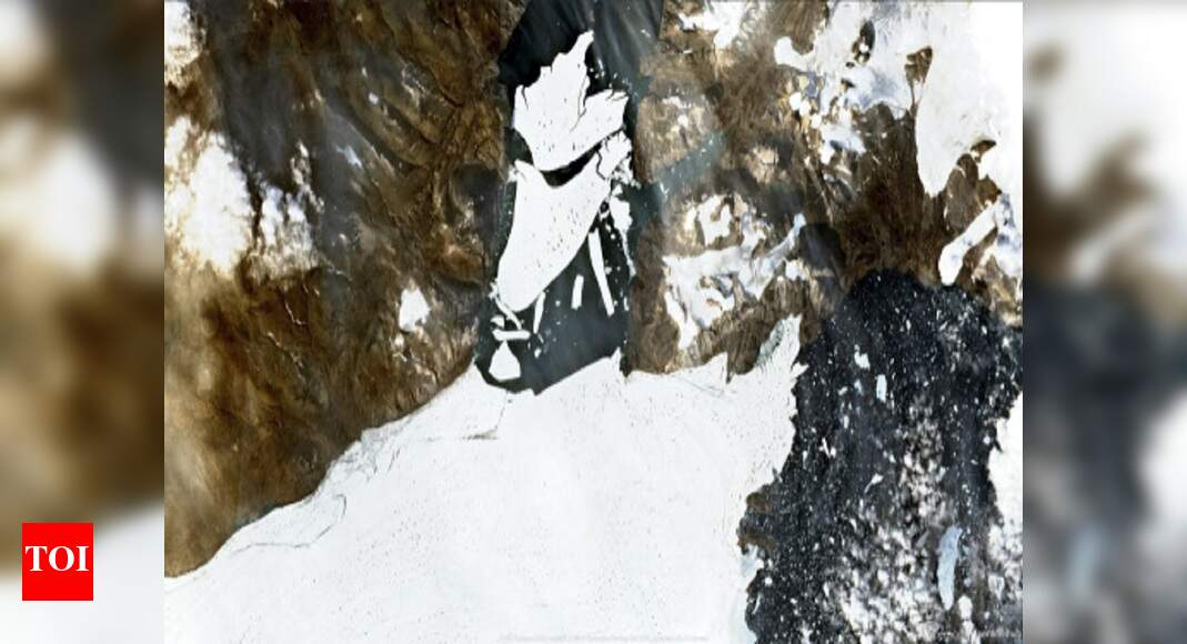 Dismay as huge chunk of Greenland's ice cap breaks off - Times of India