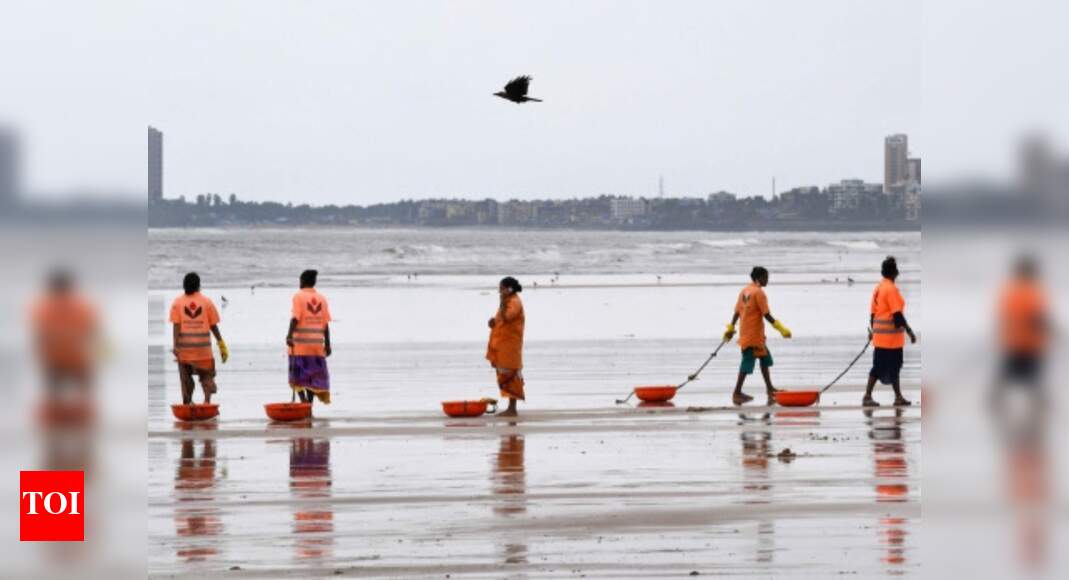 India seeks Blue Flag eco-label for its eight beaches, launches its own ...