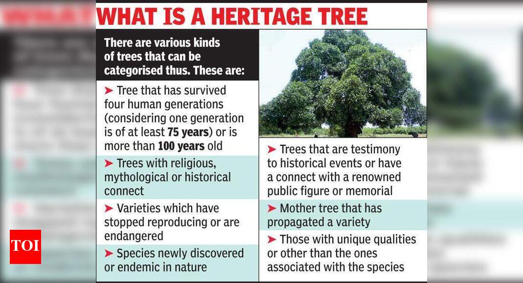 Govt roots for biodiversity, plans coffee table book on heritage trees ...
