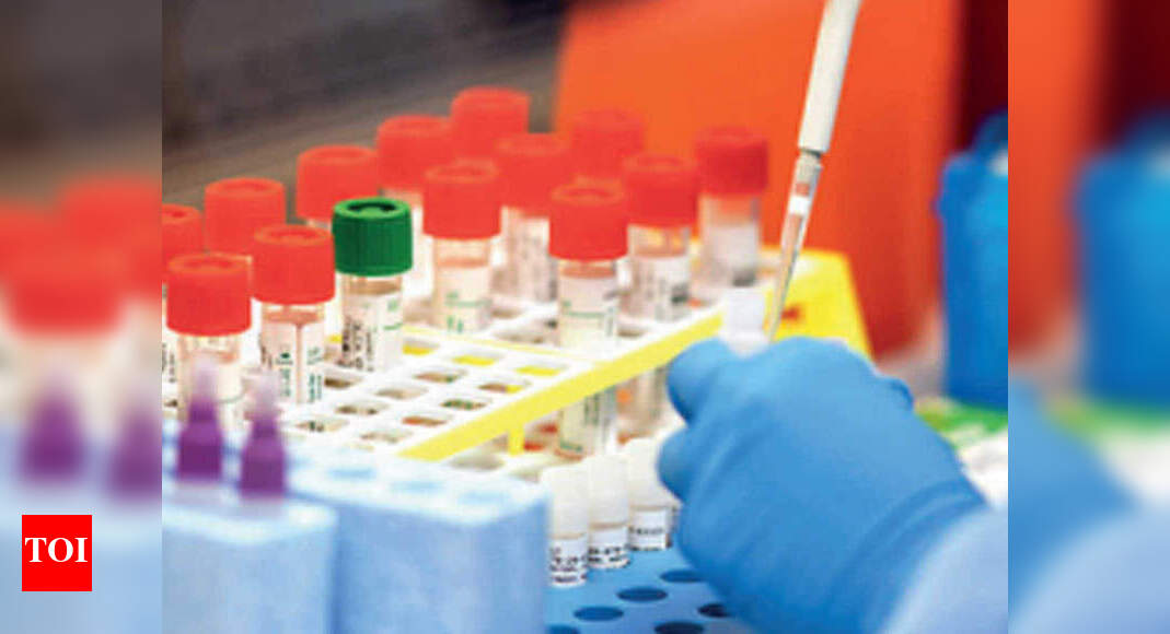 Blood plasma collection labs increased to 36 in Pune division to boost ...