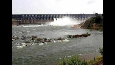 Boat capsizes in Ukai dam; 1 drowns | Surat News - Times of India