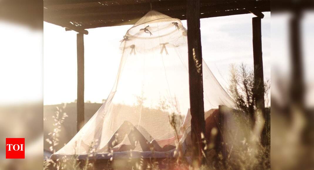 Mosquito nets: Durable bed nets for single and double beds - Times of India