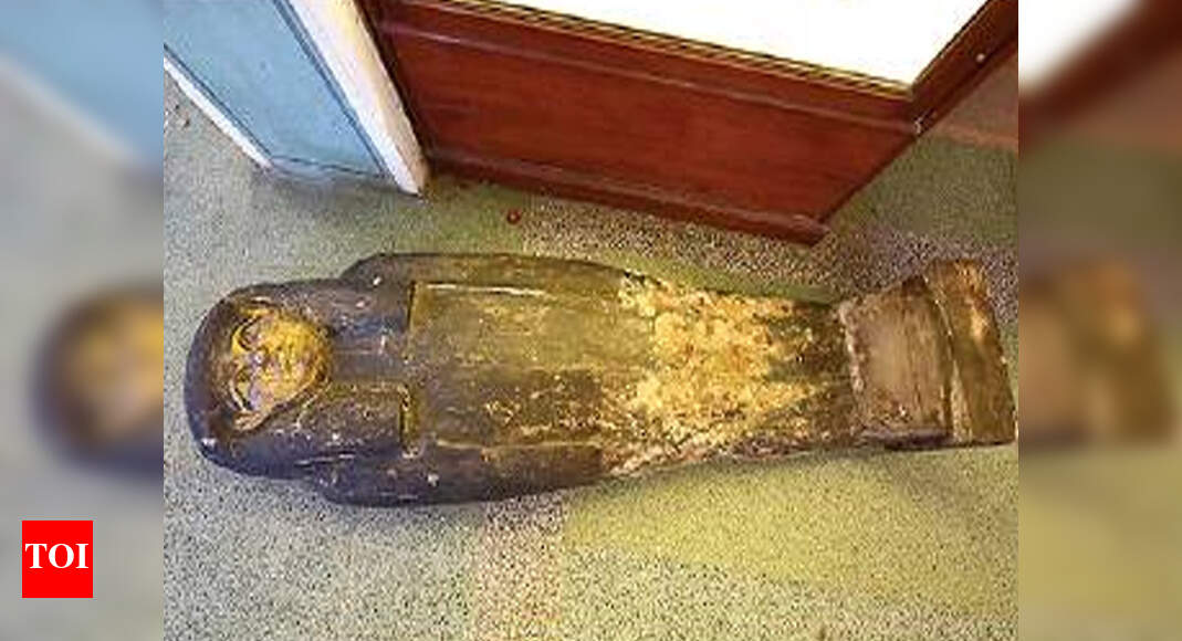 Mummy at Albert Hall to be shifted to first floor | Jaipur News - Times ...