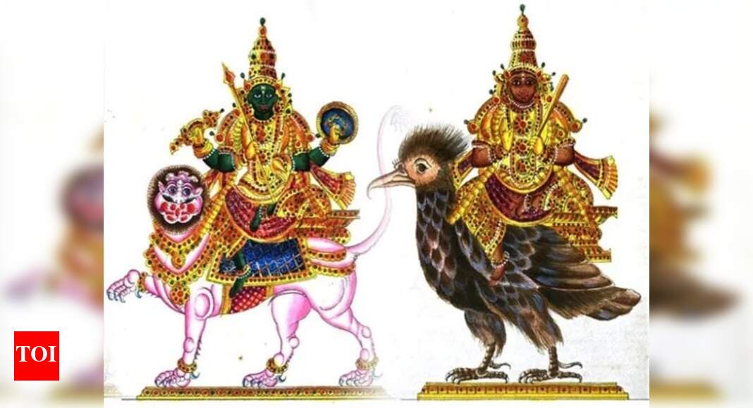 Ketu Transit 2020: Know its effect on all zodiac signs - Times of India