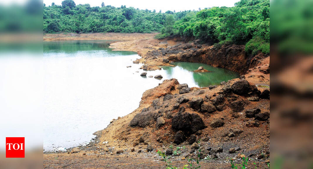 Goa: Ten water bodies closer to wetland status | Goa News - Times of India