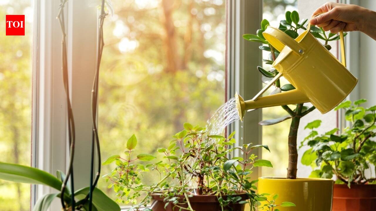 4 ways to include greenery in a small flat