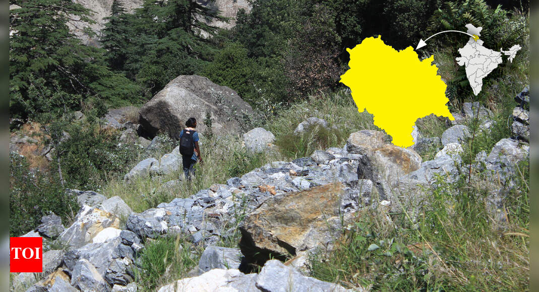 Western Himalayas' ‘forests’ without trees | India News - Times of India