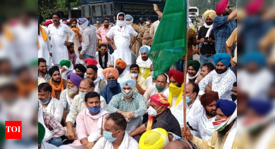 Punjabi farmers lead protests in Uttarakhand, UP | Chandigarh News ...