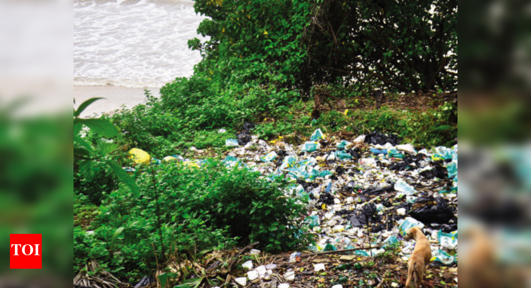 Goa: Ordinance on non-biodegradable waste gets government nod | Goa ...