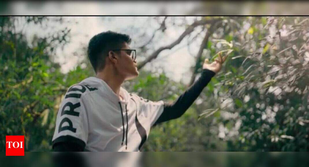 Mollem Marta Ulle, Goan rap for #SaveMollem | Events Movie News - Times ...