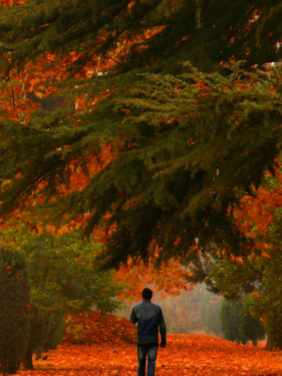 Where to go during autumn in India? | Times of India