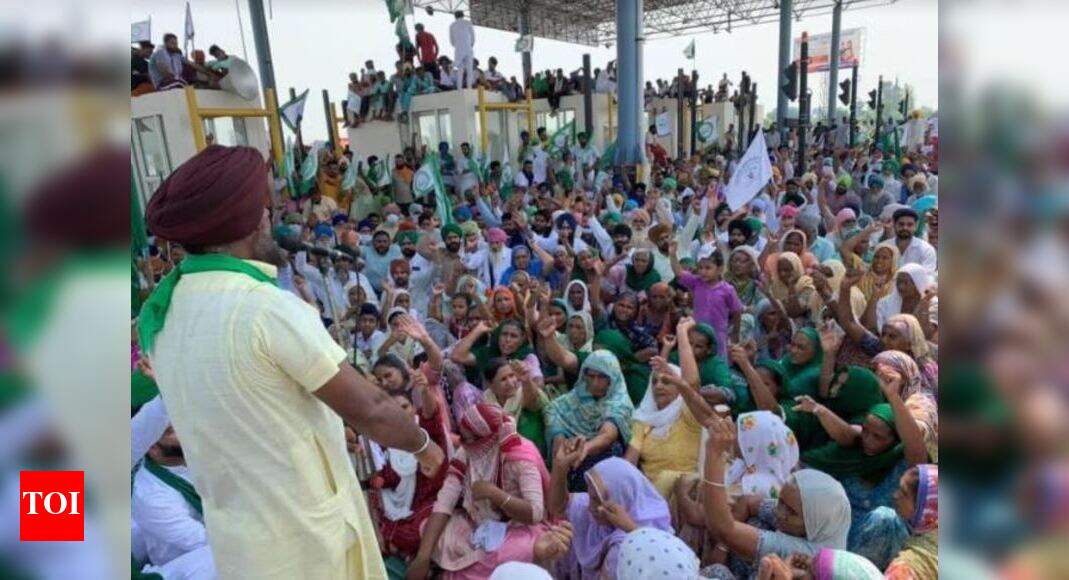 Farm bill protest in Punjab: Farmers protest at BJP leaders' houses ...