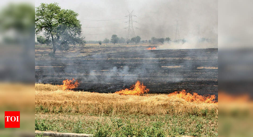 Crop fires: More states to adopt new technique | Delhi News - Times of ...