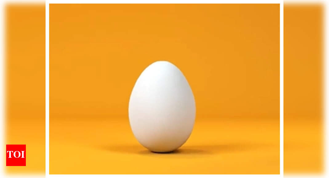 Watch: Unbreakable egg that left netizens confused - Times of India
