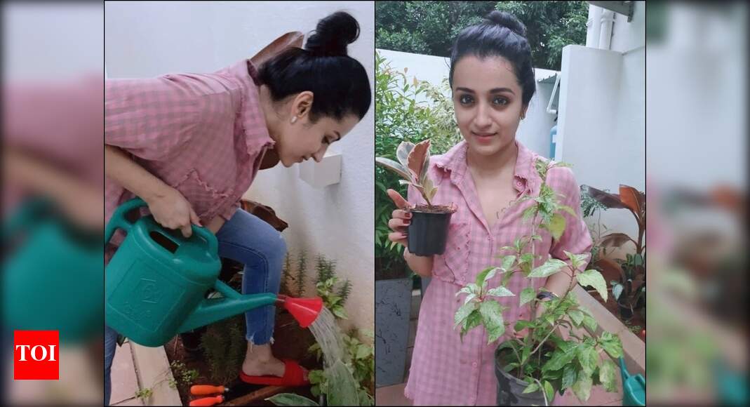 PHOTOS: Trisha accepts Green India Challenge and plants saplings at her ...
