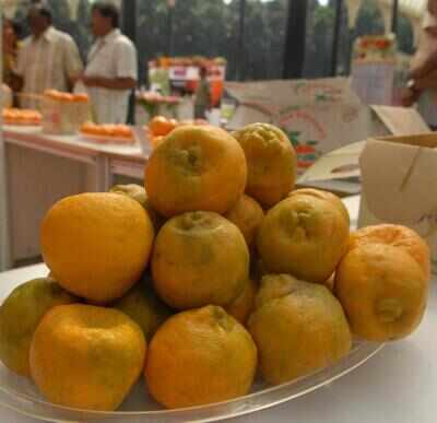 First Orange Exp to Bangladesh starts from Warud on Oct 19 | Nagpur ...
