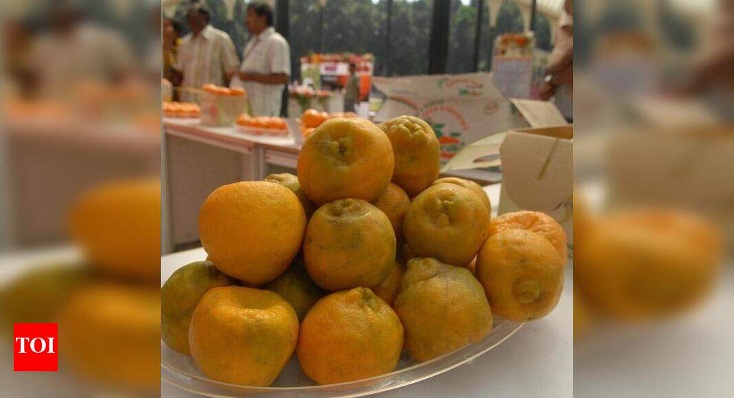 First Orange Exp to Bangladesh starts from Warud on Oct 19 | Nagpur ...