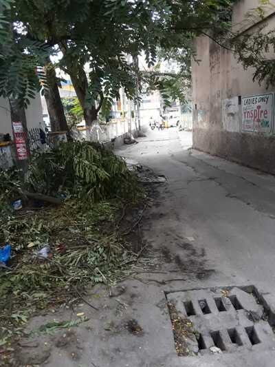 Massive path holes and garbage on a busy route - Times of India