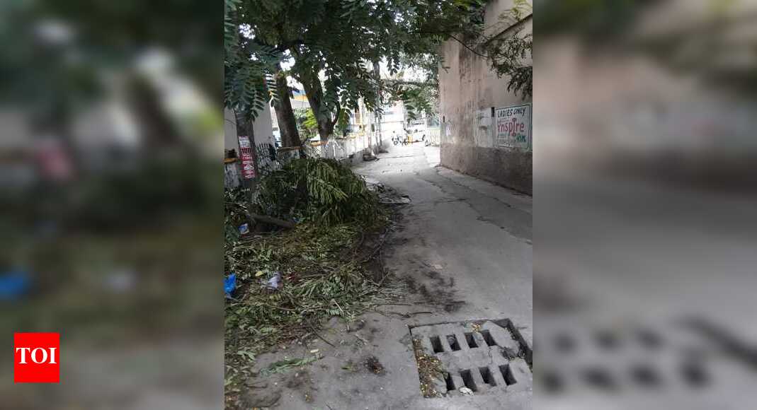 Massive path holes and garbage on a busy route - Times of India