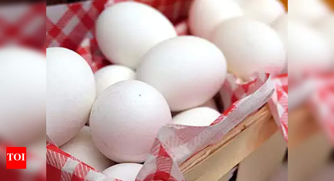Pune: High demand for protein-rich food sends daily sales of eggs ... Pune: High demand for protein-rich food sends daily sales of eggs ...