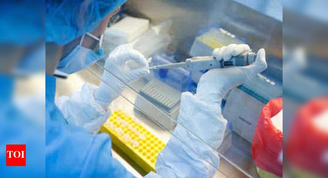 New testing method can diagnose Covid-19 in just 30 minutes, study ...