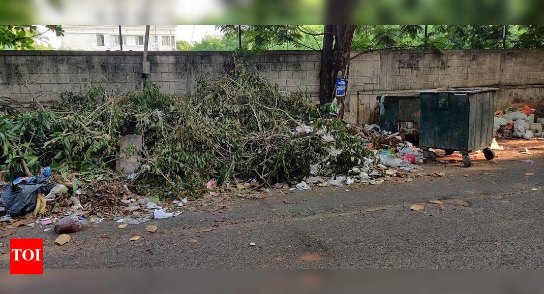 Heavy pile of garbage - Times of India