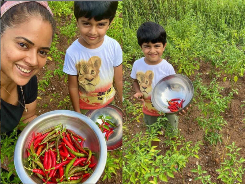 Sameera Reddy is happy with her home grown chillies | Tamil Movie News ...