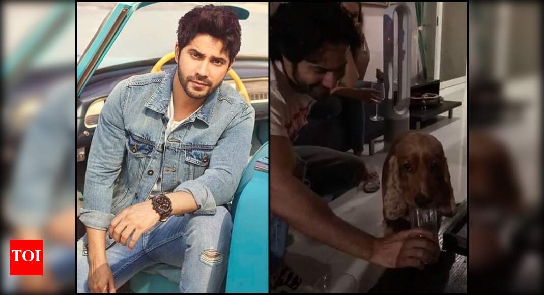 Varun Dhawan shares a paww-dorable video with his furry friend; wins ...