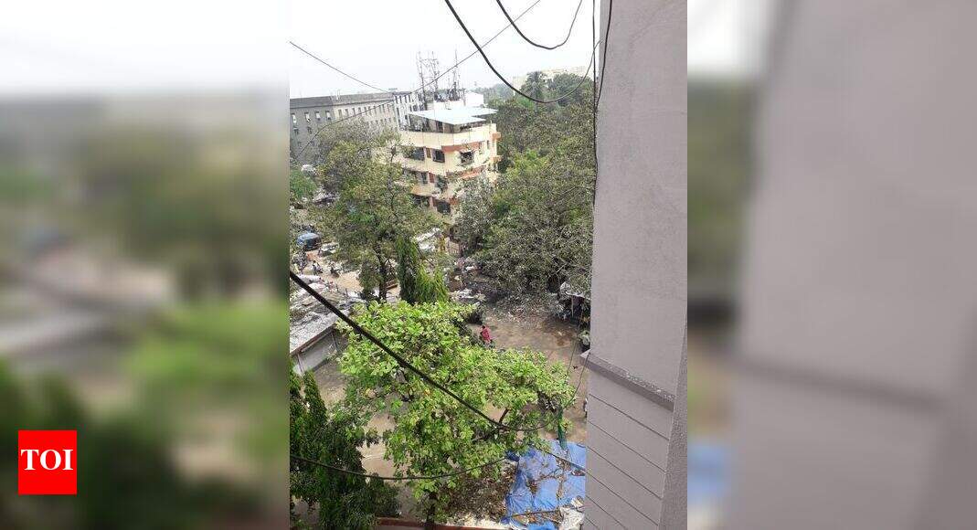 Place is very unhygienic, Messy ,Soggy,dirt place - Times of India