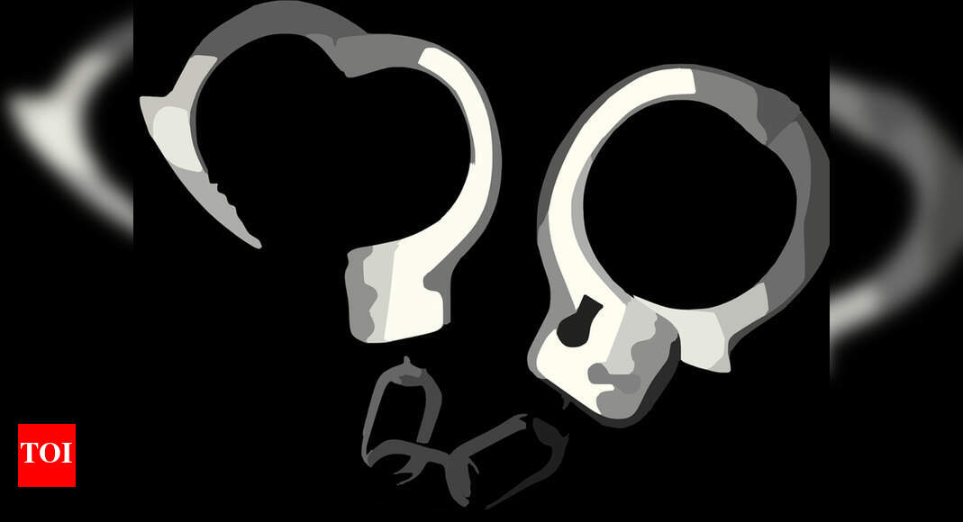 Cops close in on Sube Gujjar gang with arrests of 2 more members ...