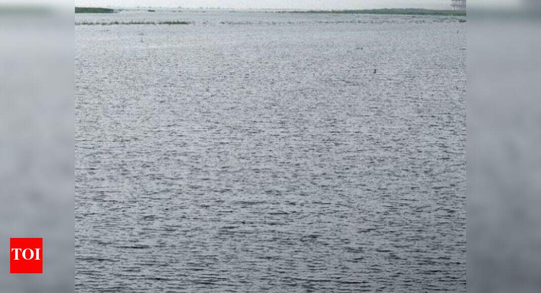 Steps taken to channelise excess water from Chembarambakkam reservoir ...