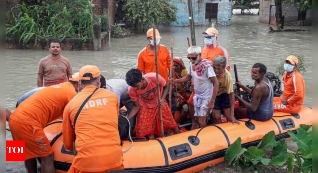 Flood-like situation in Maharashtra, Karnataka; NDRF undertakes rescue operation | India News ...