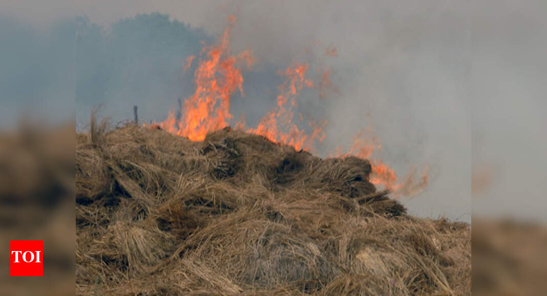 Punjab farm fires up 3-fold from last year | Delhi News - Times of India