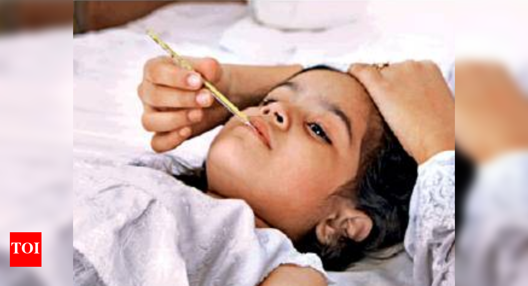 Chennai: Spike in scrub typhus cases among kids | Chennai News - Times ...