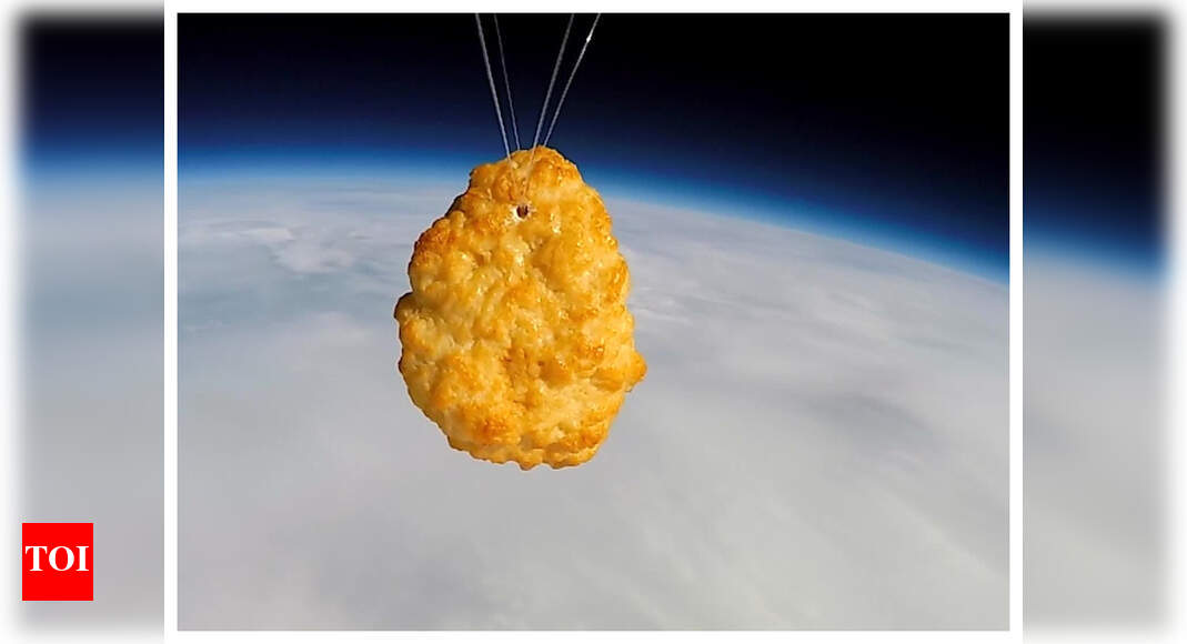 Chicken Nugget in Space: British company launches Chicken Nugget into ...