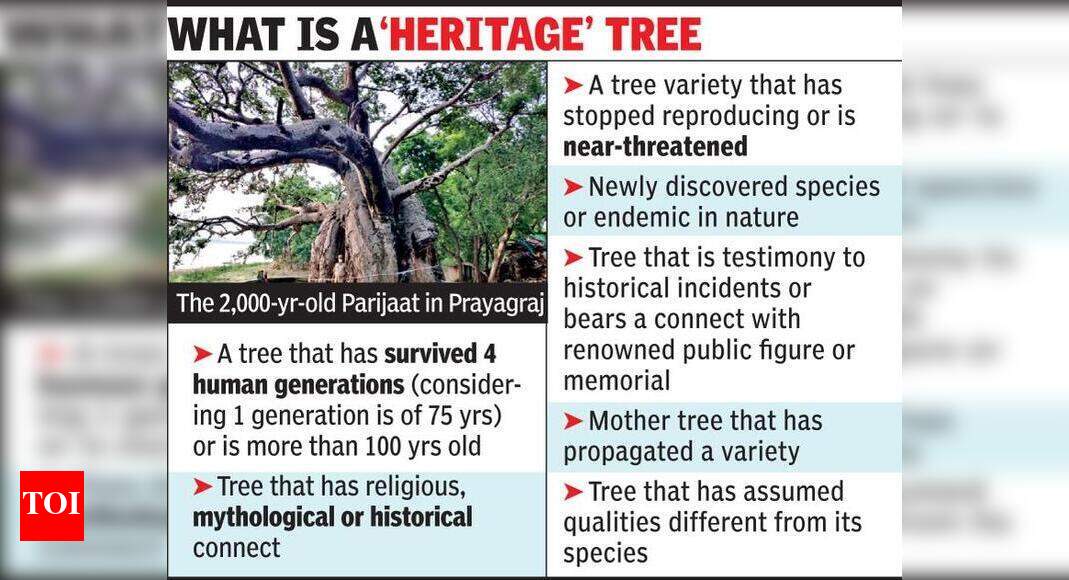 ‘Haribans Baba’ tree in the race for heritage book | Lucknow News ...