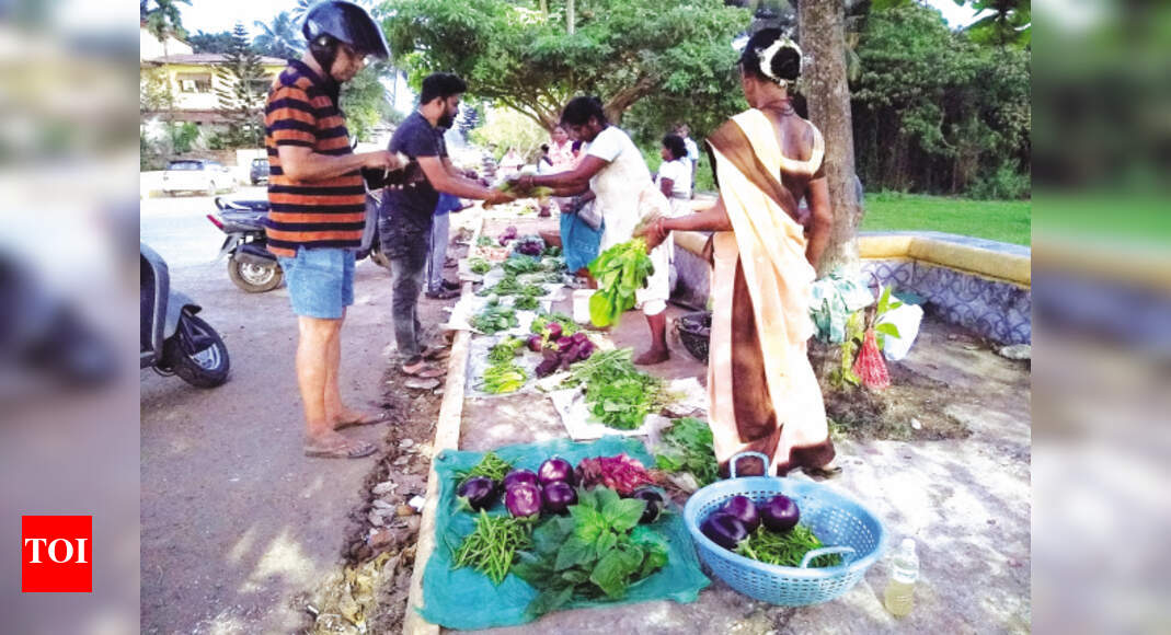 Goa: Agriculture scheme amended to boost vegetable cultivation | Goa ...
