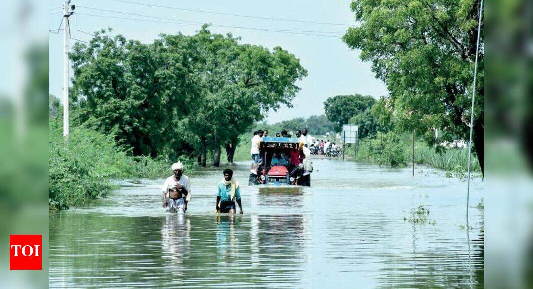 Residents of villages on banks of Bheema River relocated | Hubballi ...