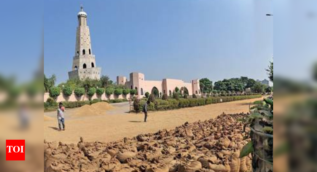Paddy mandi set up near Chappar Chiri memorial | Chandigarh News ...