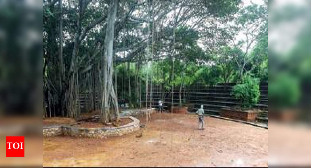 Amphitheatre for cultural events on BORI campus nears completion | Pune ...