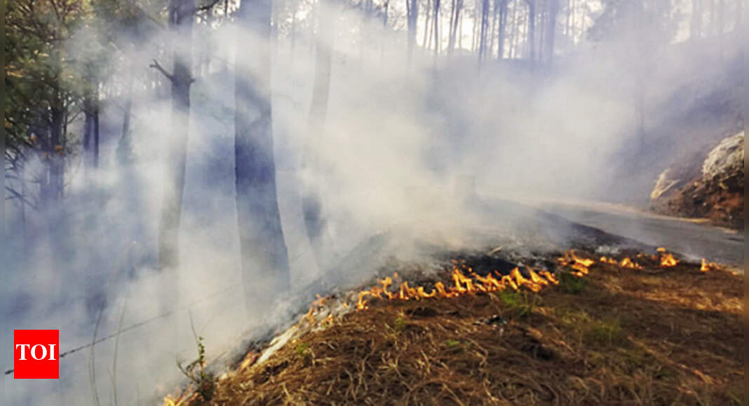 Uttarakhand experiences untimely forest fires in Oct; experts blame ...