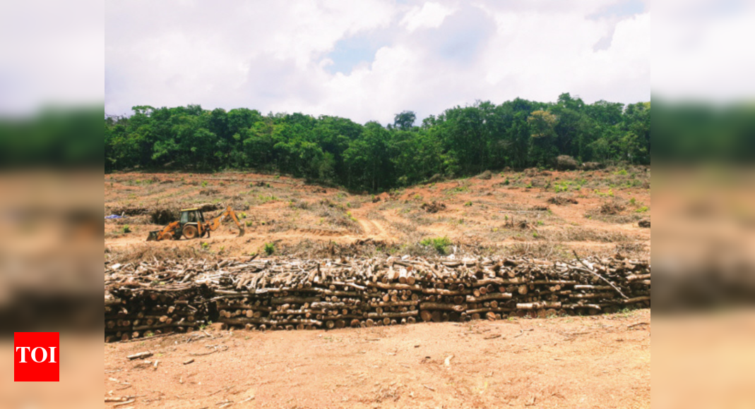 Goa: Mollem groups question Sawant’s tree-felling claims | Goa News ...