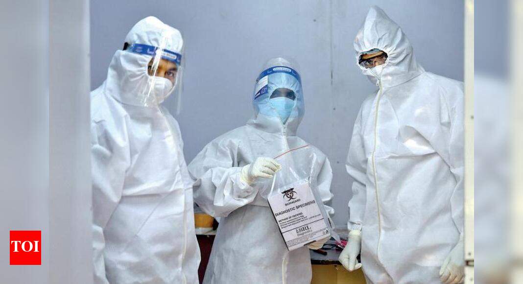 Coronavirus bugs 281, claims 4 lives in Lucknow | Lucknow News - Times ...