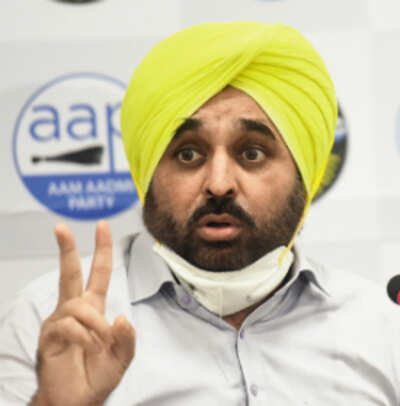 Bhagwant Mann: Punjab govt lying on legislations | Chandigarh News - Times of India