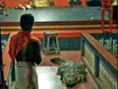 ‘Vegetarian’ crocodile Babiya’s temple visit in Kerala goes viral ...