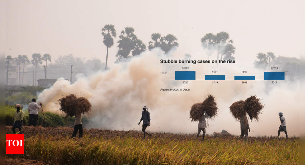 Air pollution in India: Why farm fires continue to pollute our air ...