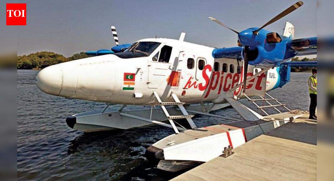 Seaplane: Ahmedabad to Statue of Unity service for tourists from early ...