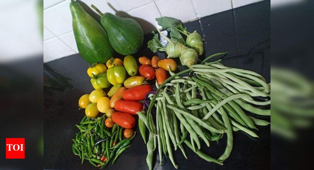 Prathima Adiga News: From fruits to veggies, this Bengaluru chef grows ...