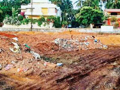 15-year-old writes to MLA, wants Taleigao fields saved | Goa News ...