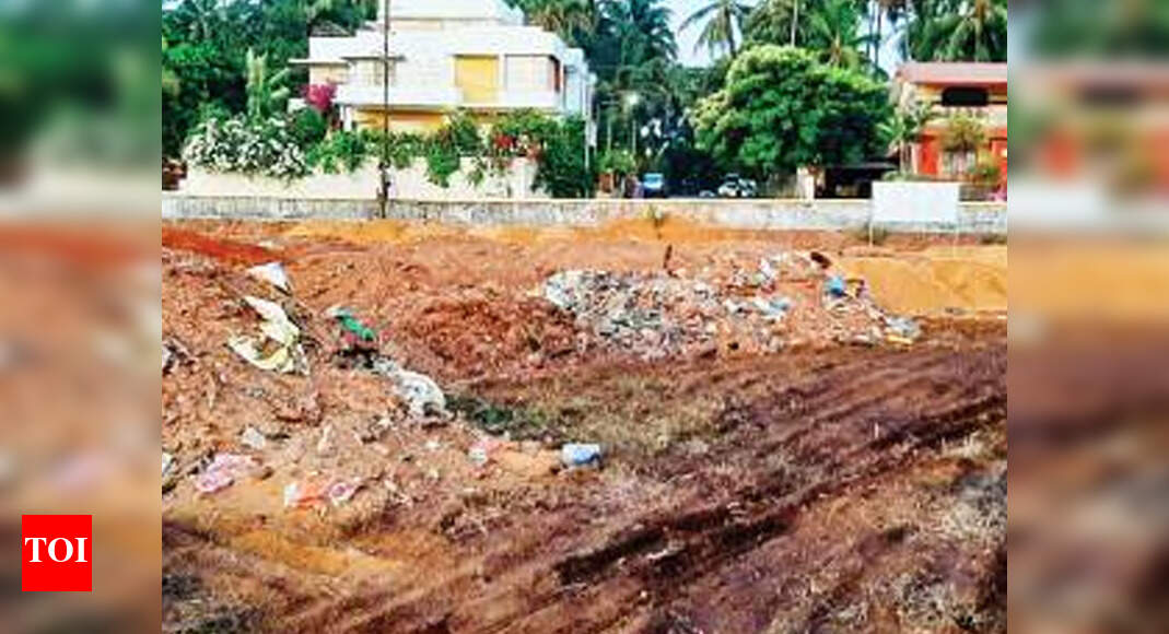 15-year-old writes to MLA, wants Taleigao fields saved | Goa News ...